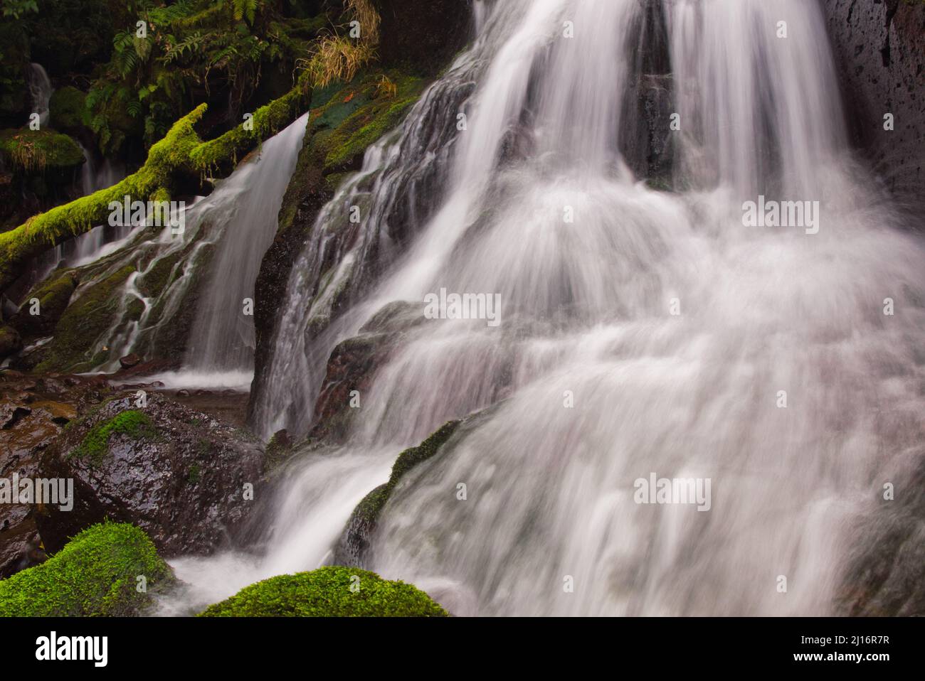 Spring Water in Kikuchi Gorge, Kumamoto Prefecture, Japan Stock Photo ...