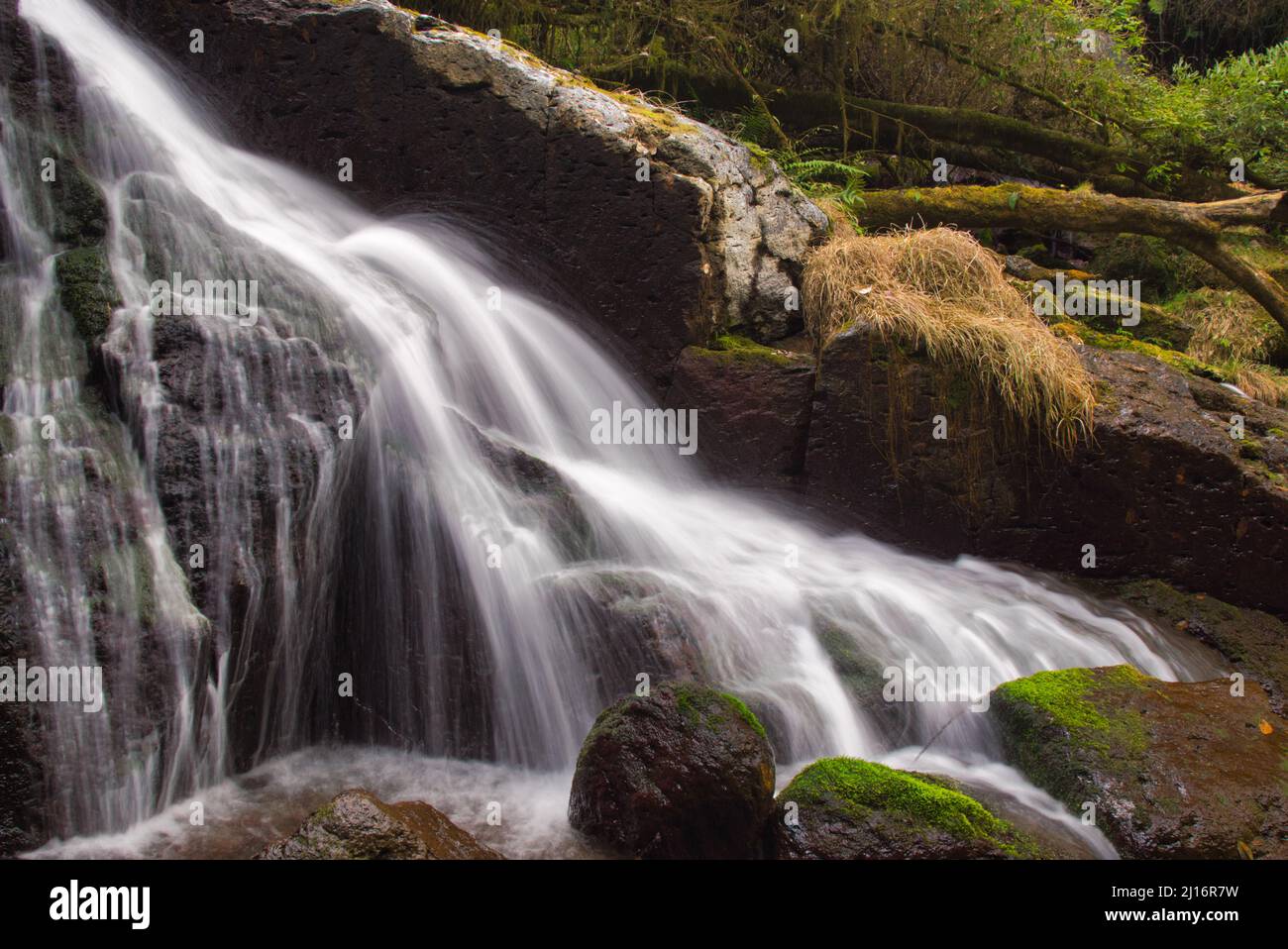 Spring Water in Kikuchi Gorge, Kumamoto Prefecture, Japan Stock Photo ...