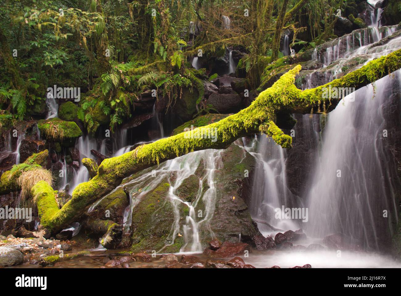 Spring Water in Kikuchi Gorge, Kumamoto Prefecture, Japan Stock Photo ...