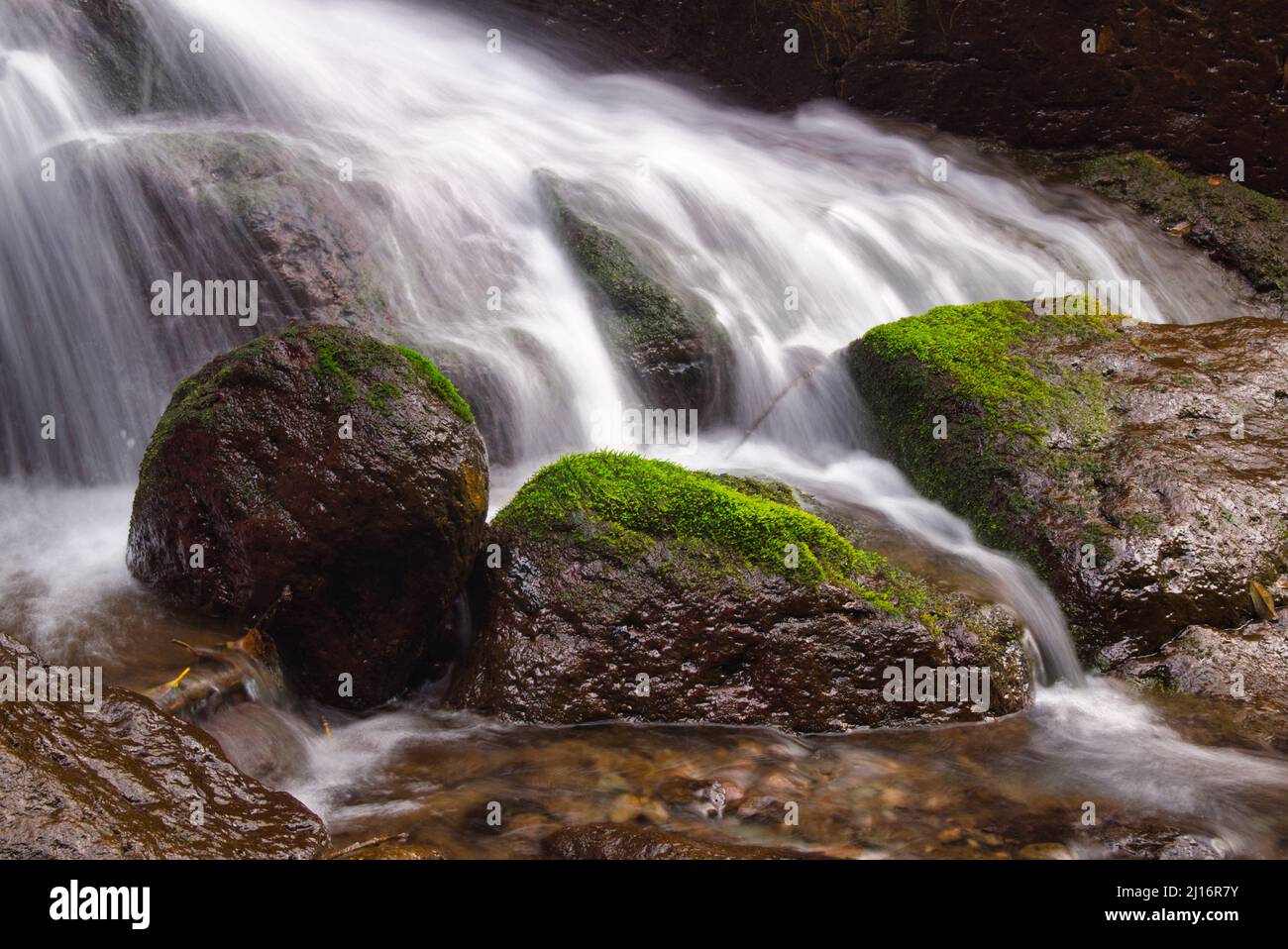 Spring Water in Kikuchi Gorge, Kumamoto Prefecture, Japan Stock Photo ...