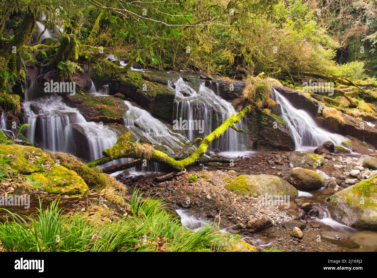Spring Water in Kikuchi Gorge, Kumamoto Prefecture, Japan Stock Photo ...