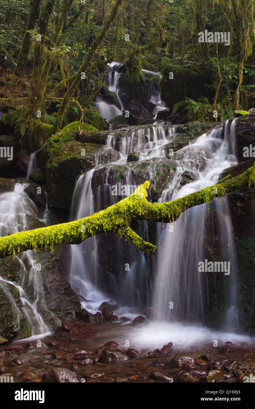 Spring Water in Kikuchi Gorge, Kumamoto Prefecture, Japan Stock Photo ...