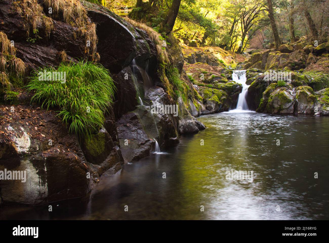 Kikuchi Gorge in Winter, Kumamoto Prefecture, Japan Stock Photo - Alamy