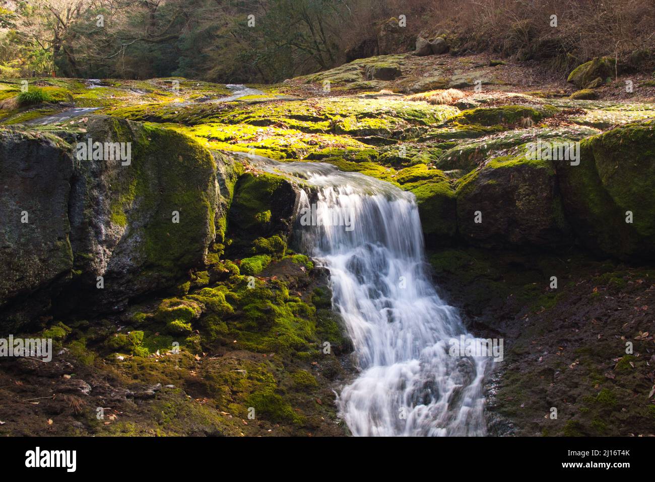 Kikuchi Gorge in Winter, Kumamoto Prefecture, Japan Stock Photo - Alamy
