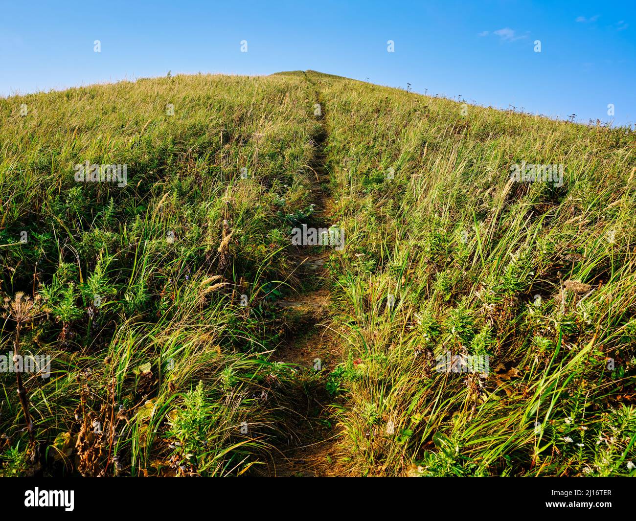 Landscape in Rebun Island, Hokkaido, Japan Stock Photo - Alamy