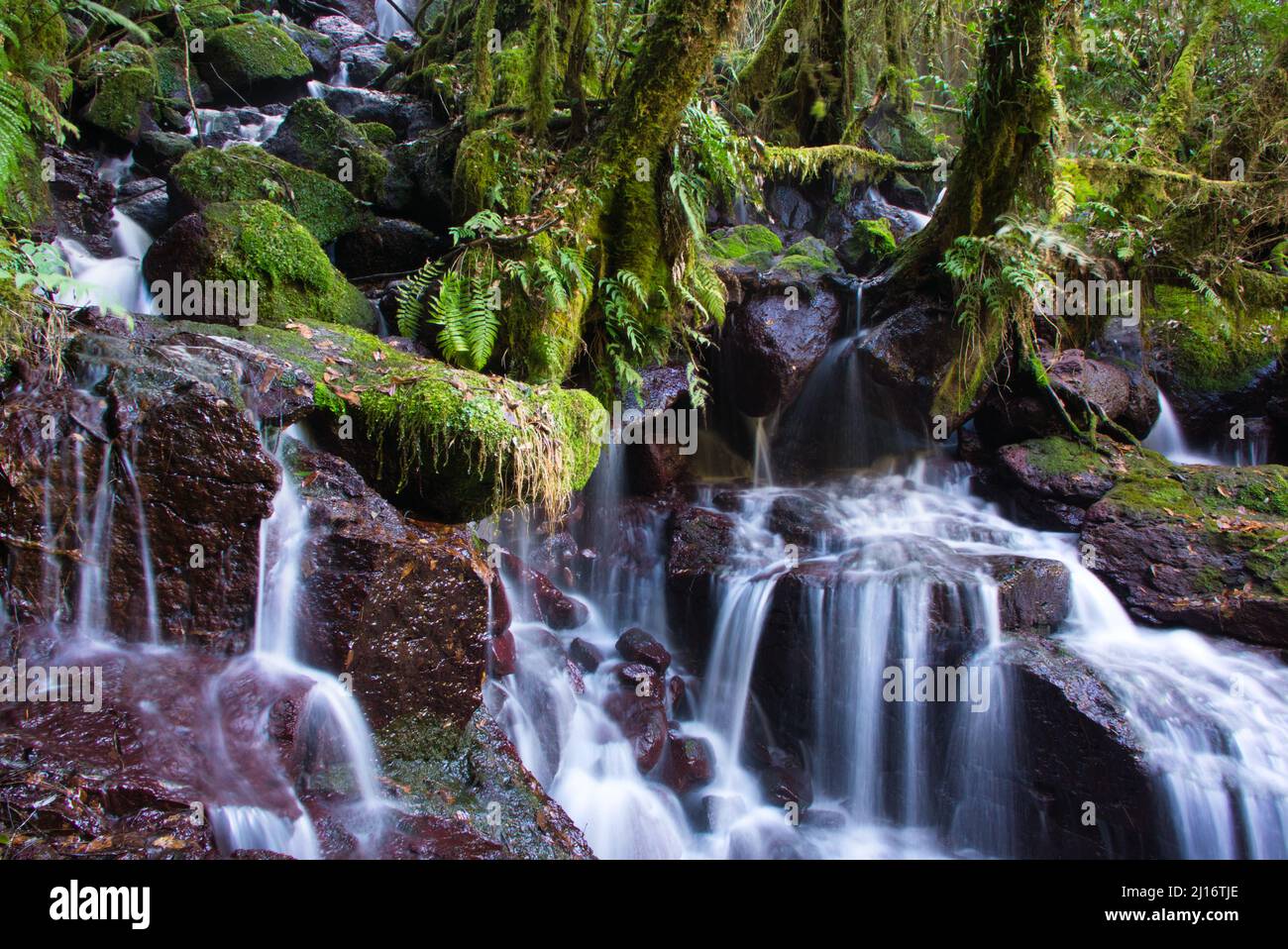 Kikuchi Gorge in Winter, Kumamoto Prefecture, Japan Stock Photo - Alamy