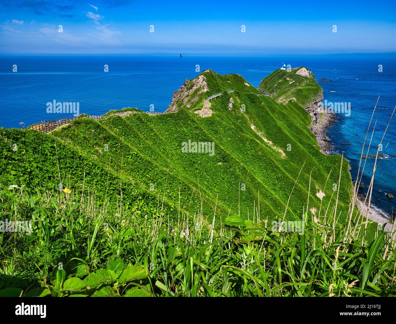Cape Kamui, Hokkaido Prefecture, Japan Stock Photo - Alamy