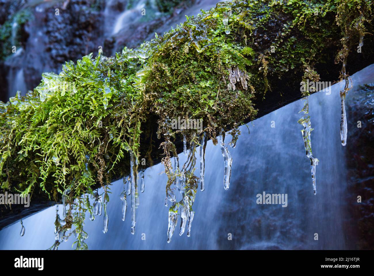 Kikuchi Gorge in Winter, Kumamoto Prefecture, Japan Stock Photo - Alamy