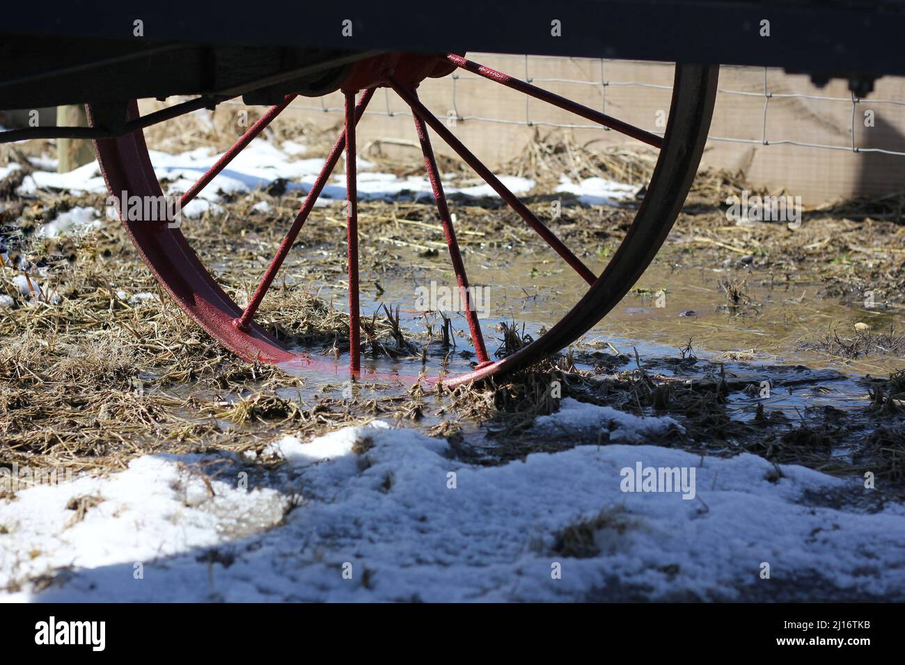 Bright red wagon wheel running on an old vintage farm wagon Stock Photo ...