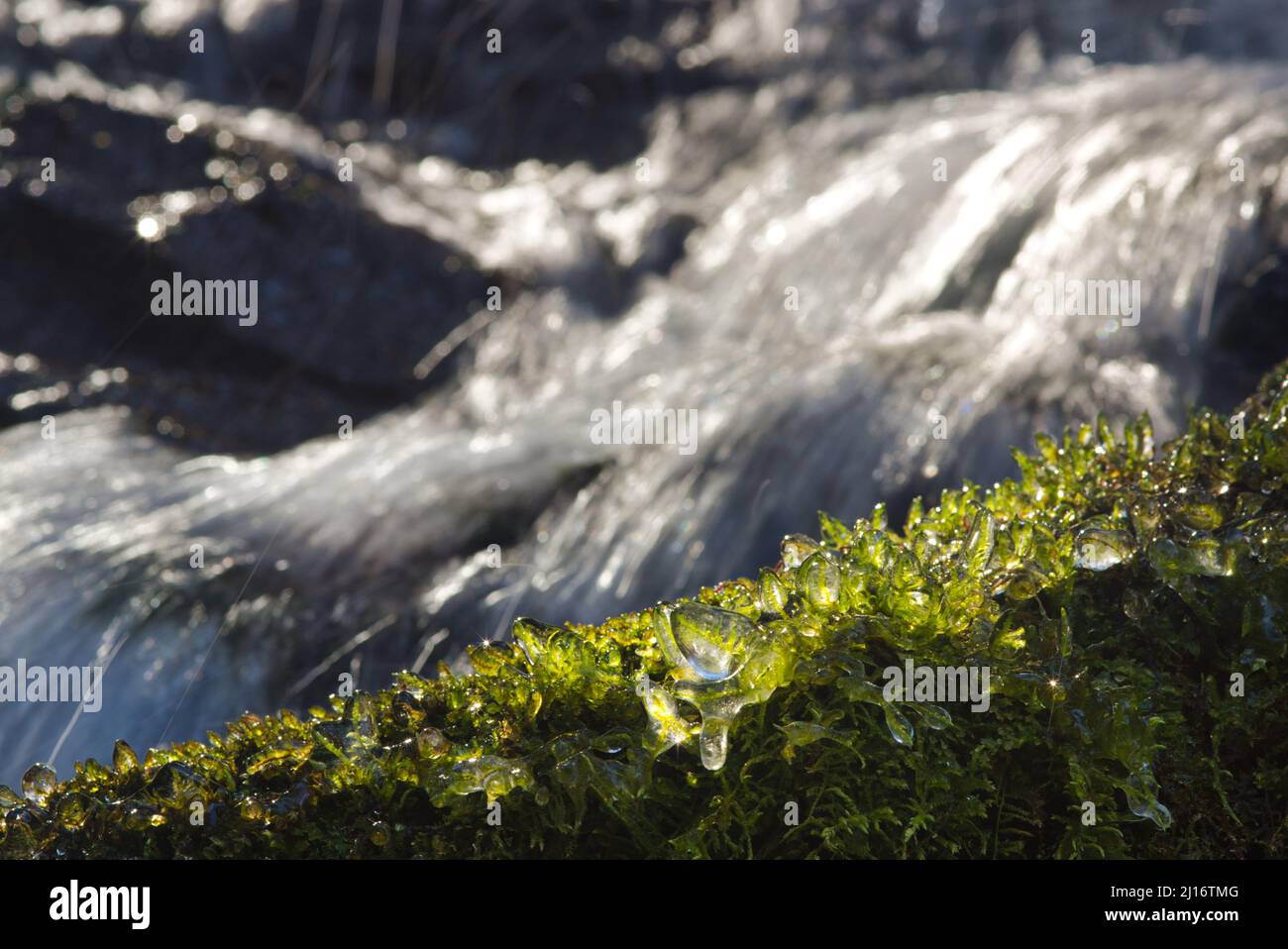 Kikuchi Gorge in Winter, Kumamoto Prefecture, Japan Stock Photo - Alamy
