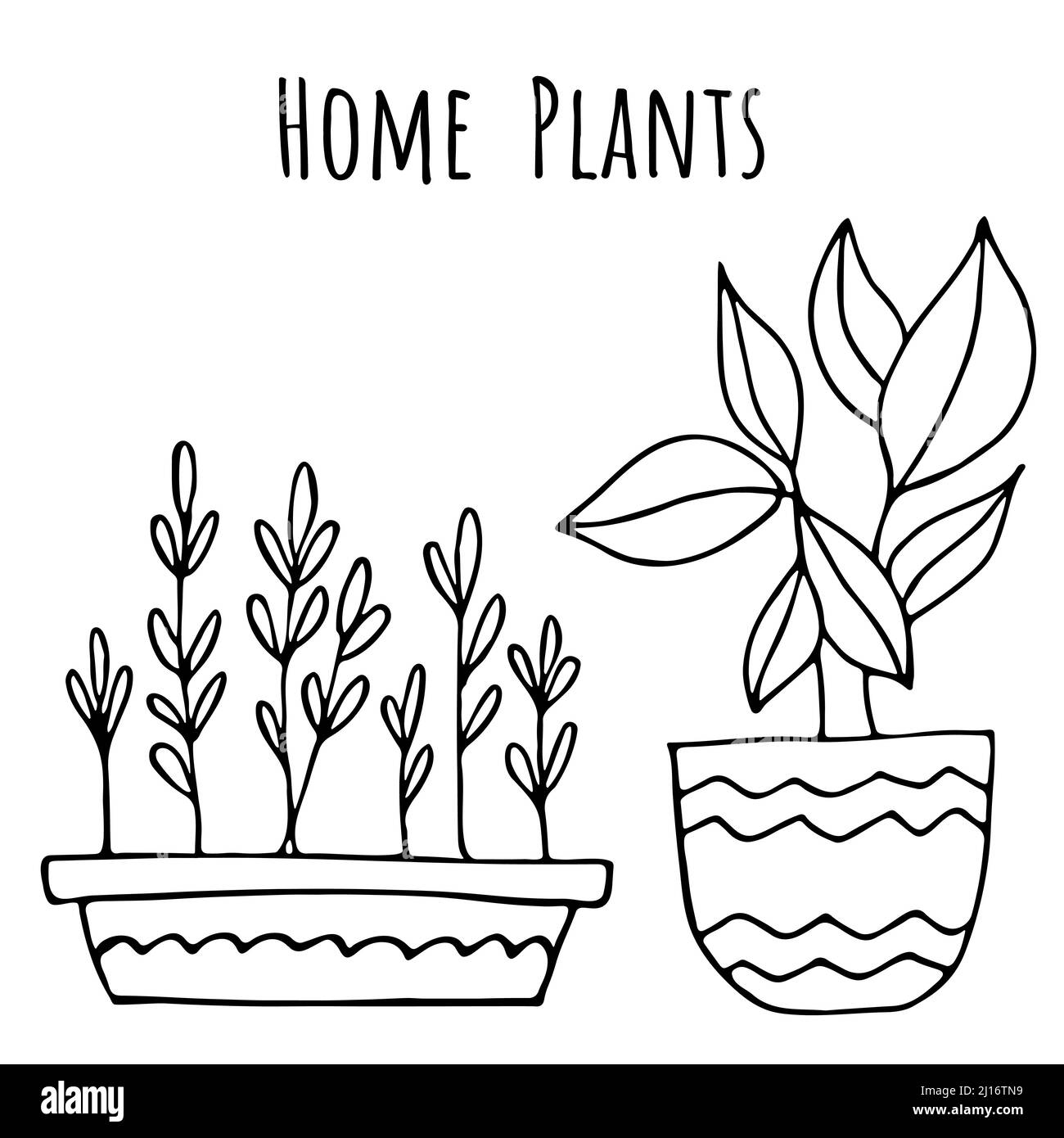 Set of houseplant vector illustration with simple line doodle design ...