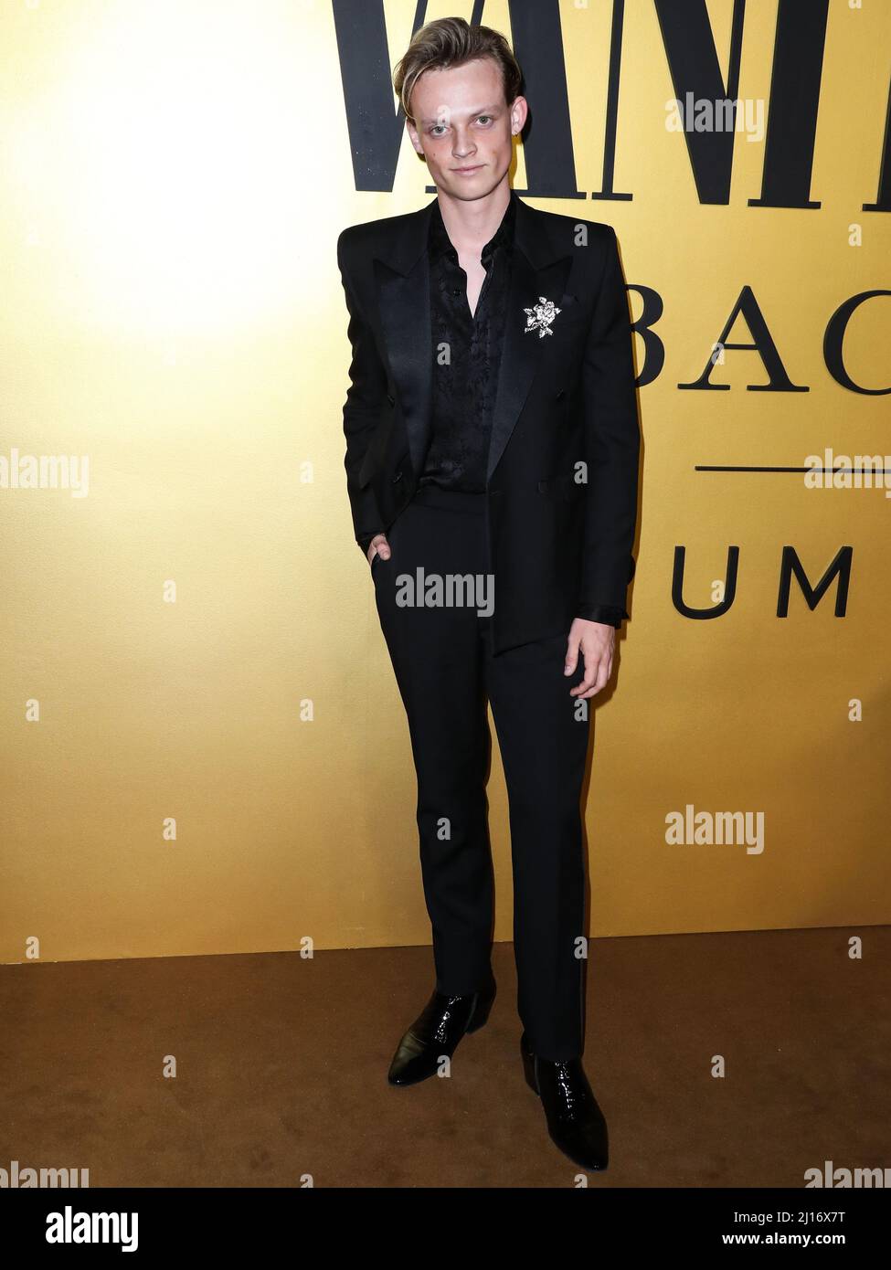 HOLLYWOOD, LOS ANGELES, CALIFORNIA, USA - MARCH 22: Anson Boon arrives ...