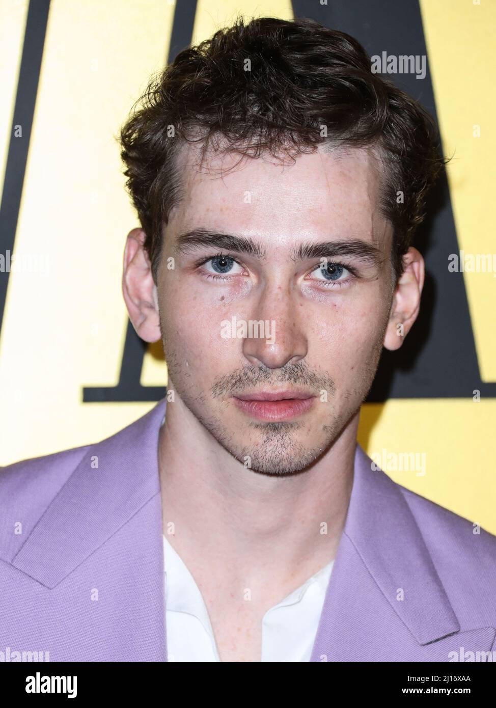 HOLLYWOOD, LOS ANGELES, CALIFORNIA, USA - MARCH 22: Dylan Arnold ...