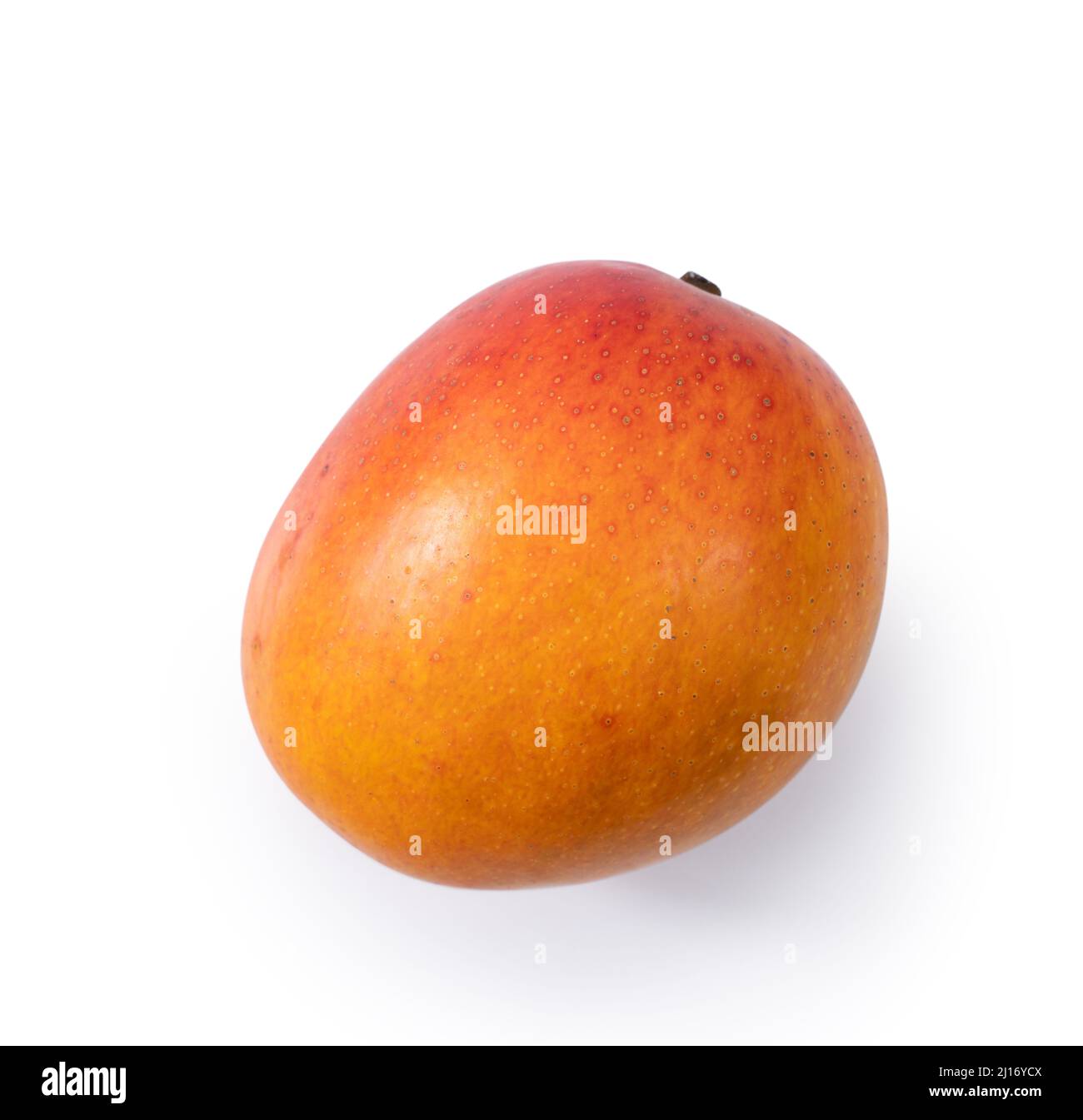 Close up of beautiful delicious ripe mango isolated on white table ...