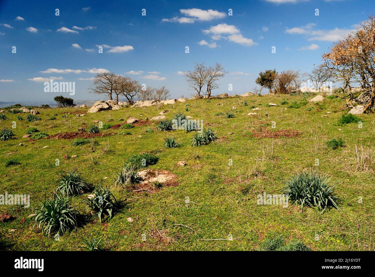 View of Monte Santo peak Stock Photo - Alamy