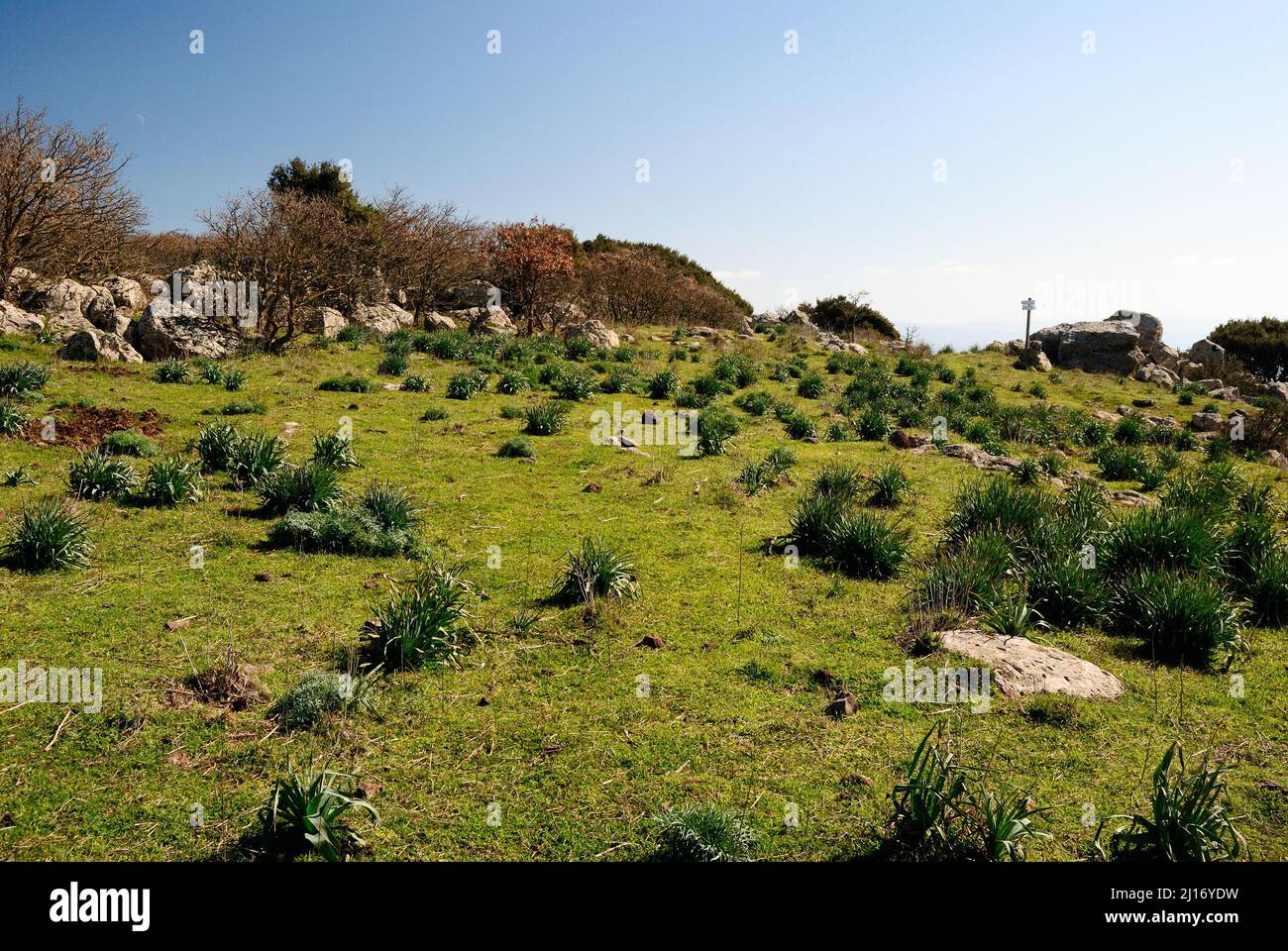View of Monte Santo peak Stock Photo - Alamy
