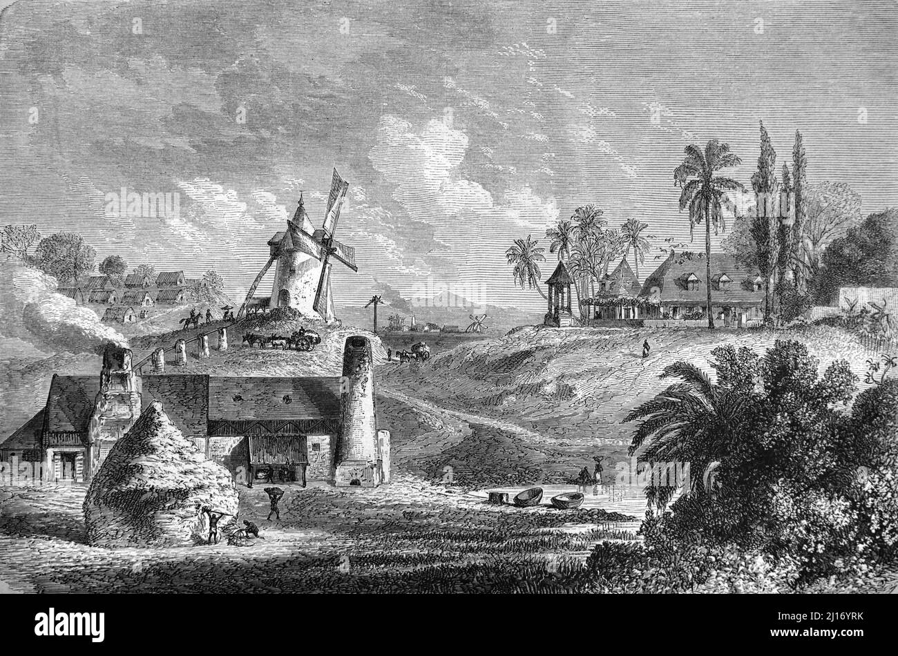 Engraving caribbean plantation Black and White Stock Photos & Images ...