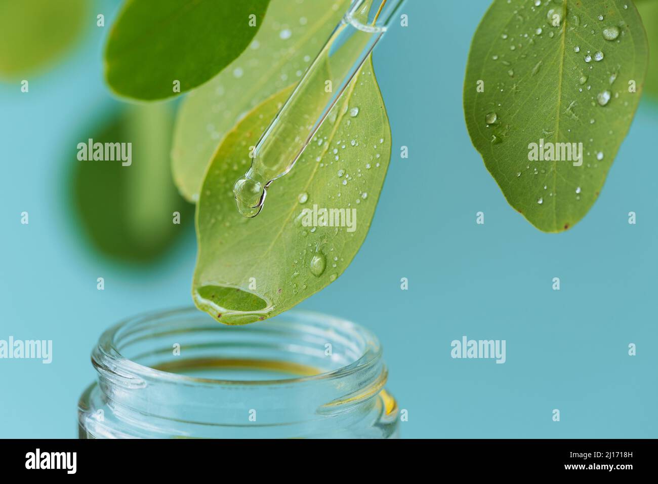 Macro shot of beautiful leaf and pipette, medicine drop falling into ...