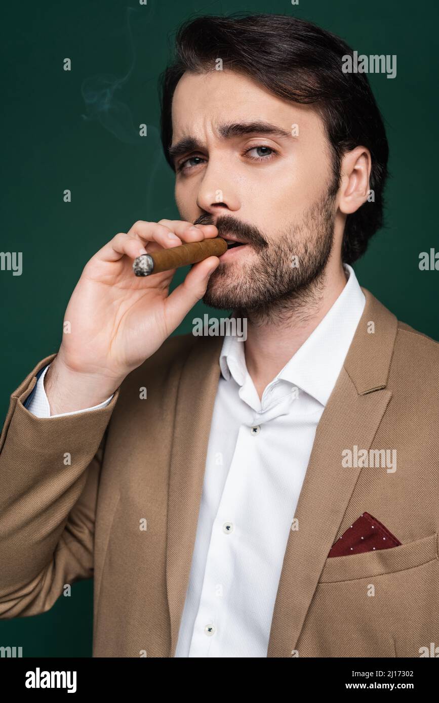 portrait of man with mustache smoking cigar and looking at camera on ...