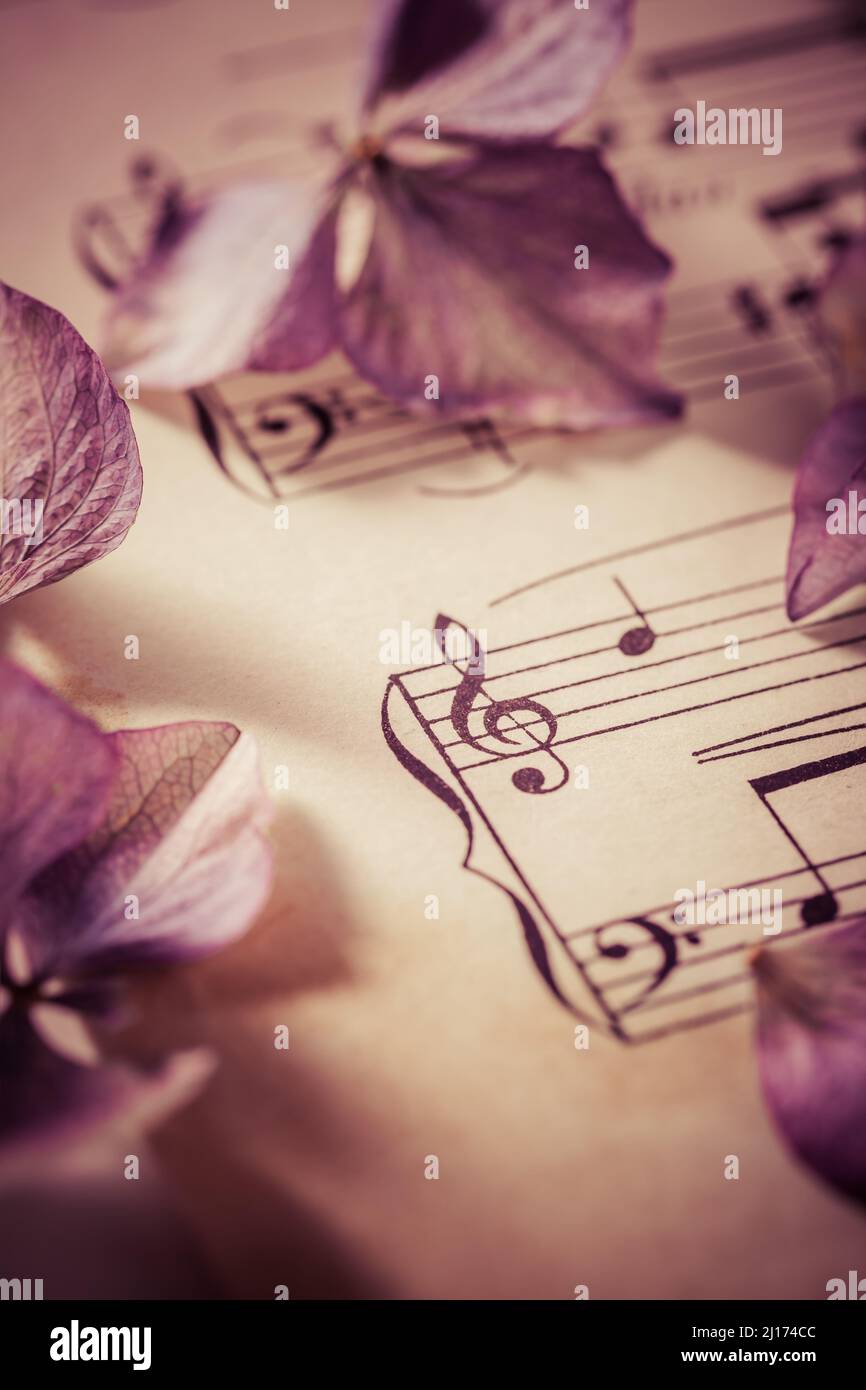 Music sheet with dried flowers in vintage style Stock Photo - Alamy