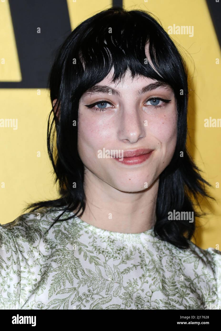 HOLLYWOOD, LOS ANGELES, CALIFORNIA, USA - MARCH 22: Devon Ross arrives ...