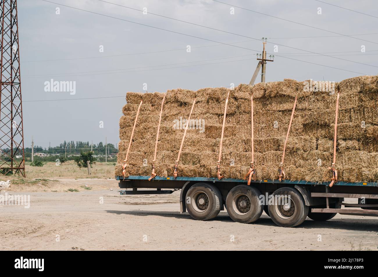 Rectangular bales of dry straw fixed with rigging straps on a truck ...
