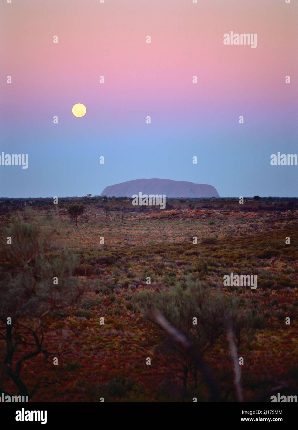 Uluru at Dusk with a Full Moon, Northern Territory, Australia Stock ...