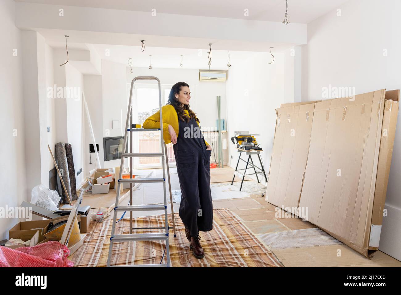 Ladder leaning house full view hi-res stock photography and images - Alamy