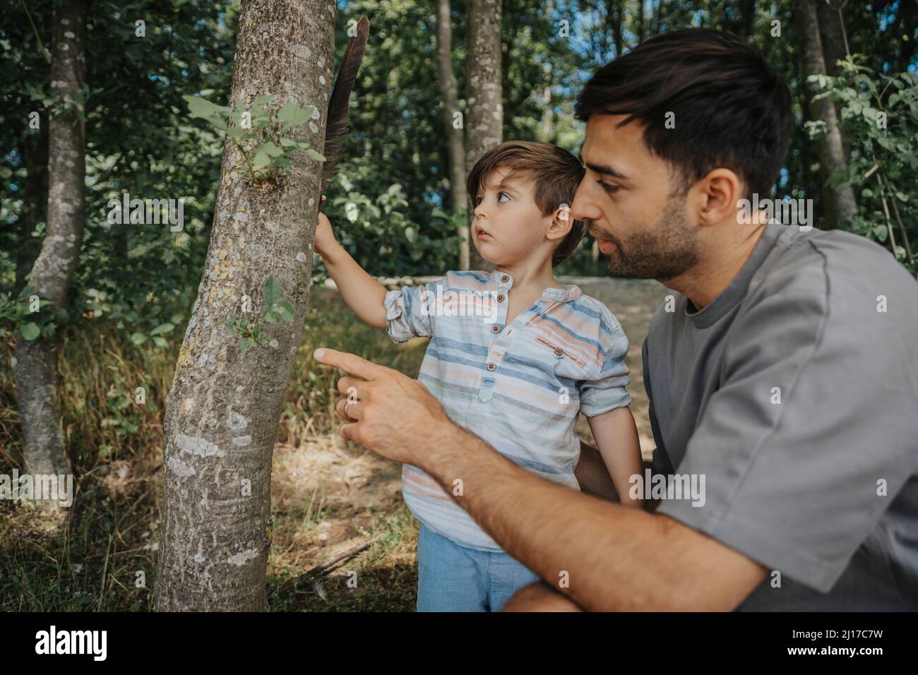 Father and son looking at tree in nature Stock Photo - Alamy