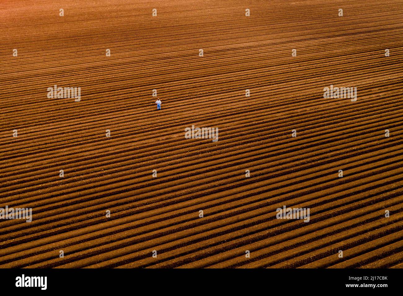 Arable farmer hi-res stock photography and images - Alamy