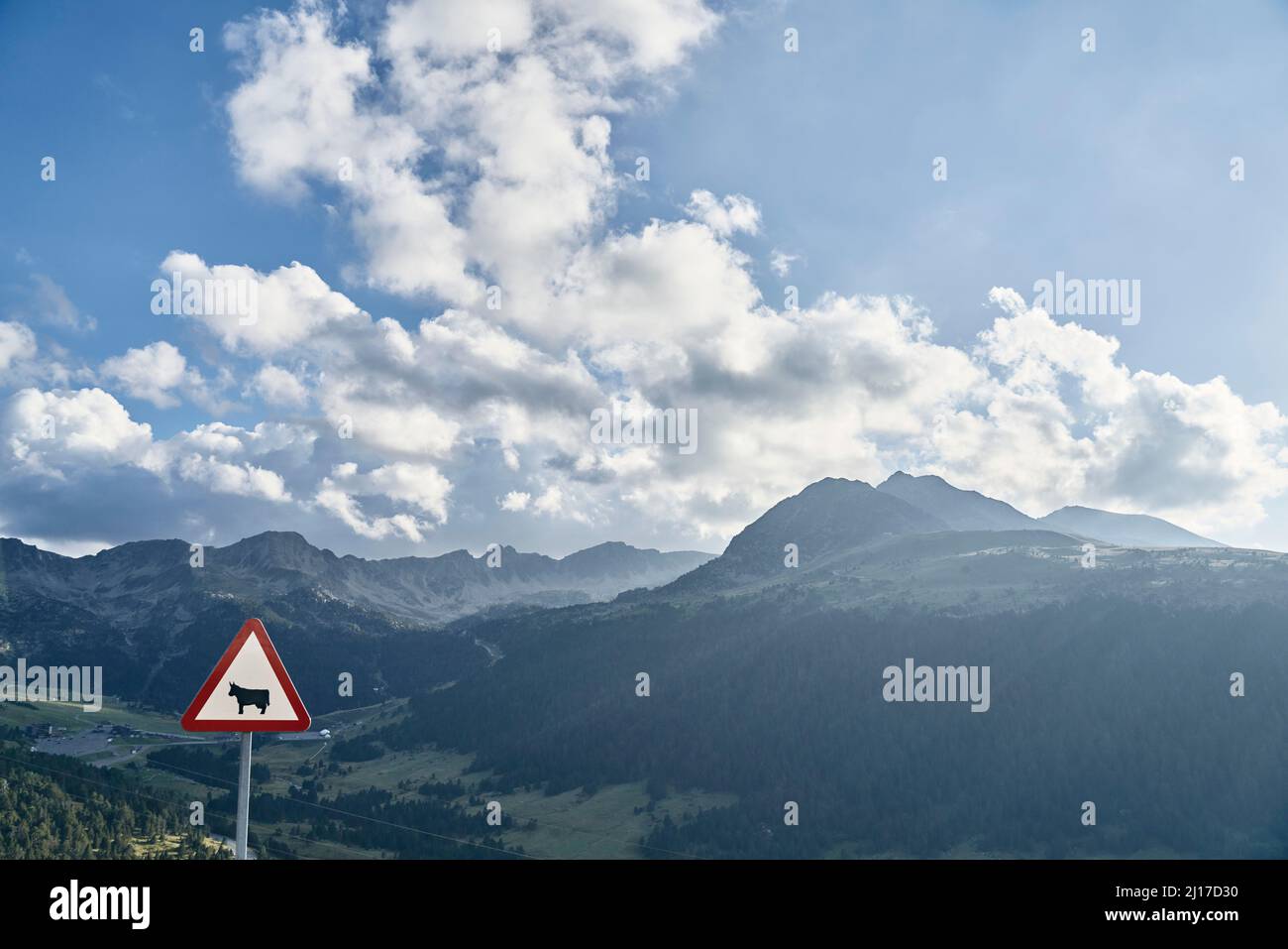 Board at front hi-res stock photography and images - Alamy