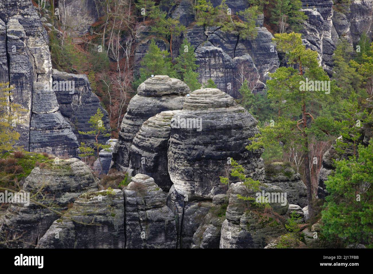 Elbe bastei rock formation hi-res stock photography and images - Alamy