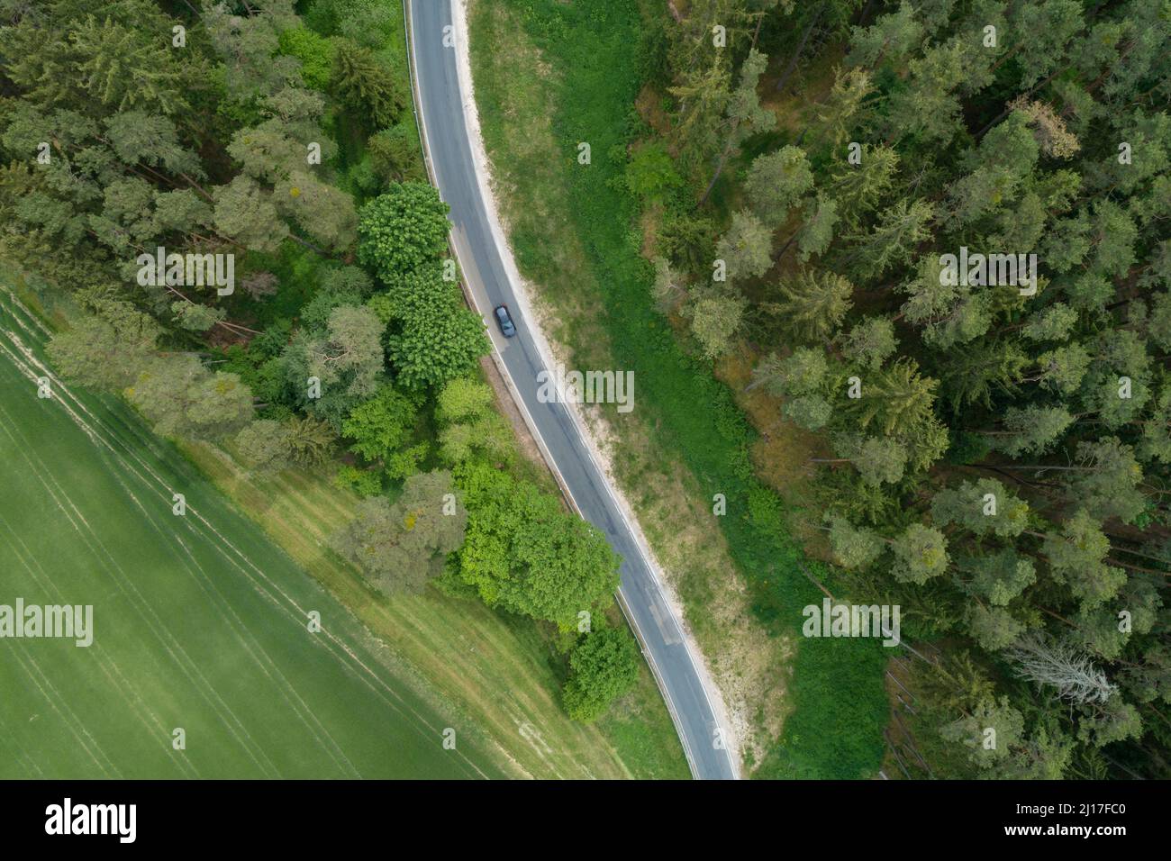 Country road in grove hi-res stock photography and images - Alamy