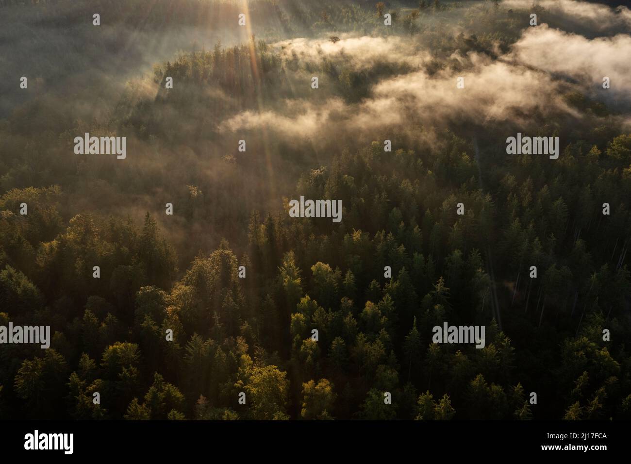 Aerial view of Bleiloch Reservoir at foggy autumn morning Stock Photo ...