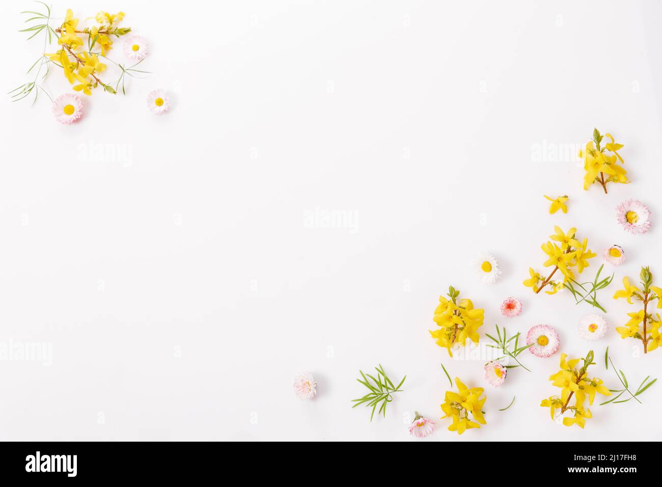 Spring frame of small flowers and daisy, floral arrangement Stock Photo ...
