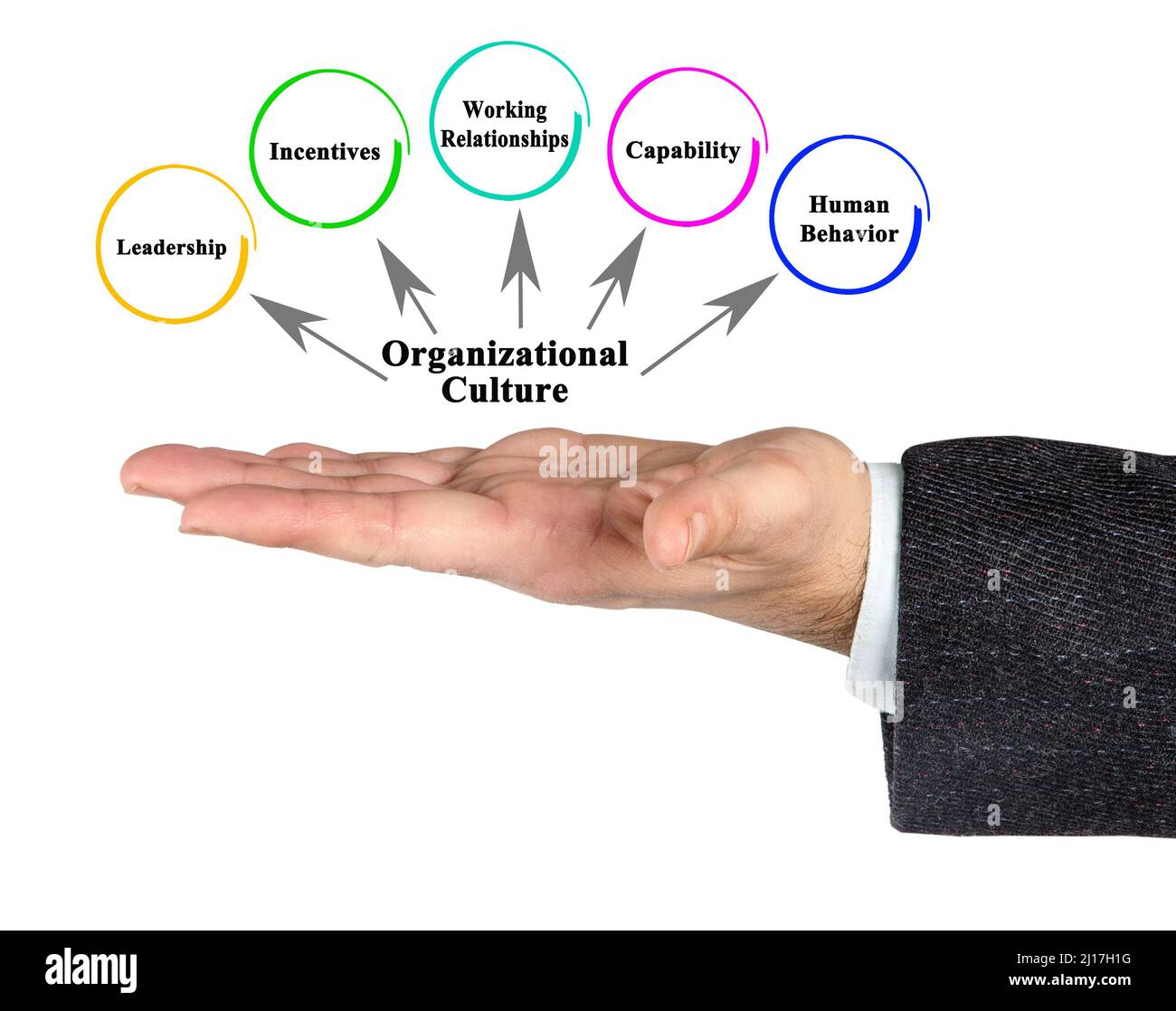 Five facets of Organizational Culture Stock Photo - Alamy