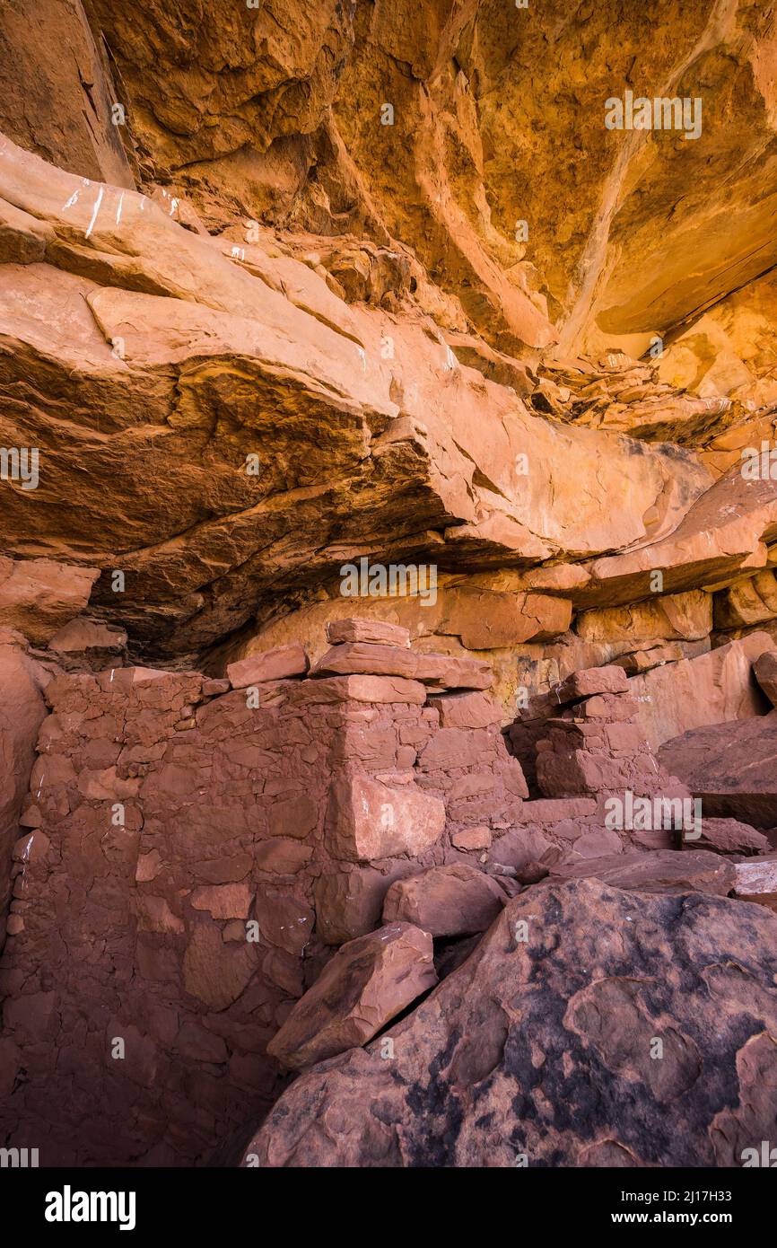 An ancient 1,000 year old Ancestral Puebloan cliff dwelling in Mule ...