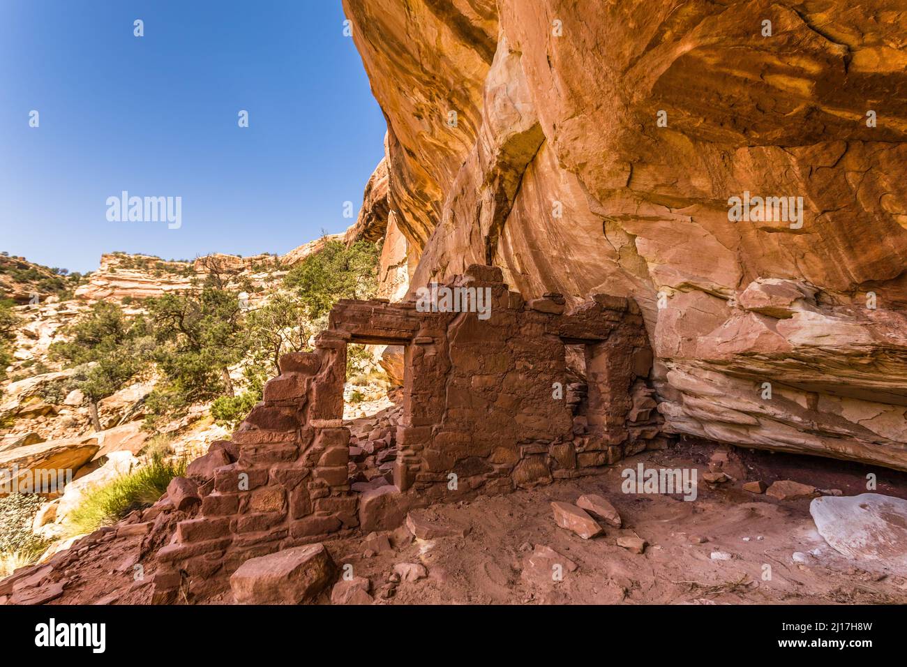 An ancient 1,000 year old Ancestral Puebloan cliff dwelling in Mule ...