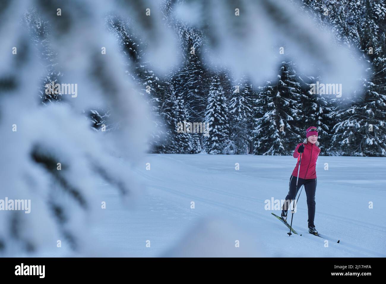 Woman skiing in winter forest hi-res stock photography and images - Alamy