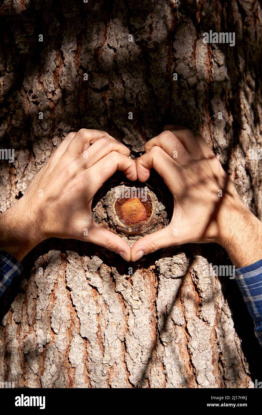 Man shaped tree hi-res stock photography and images - Alamy