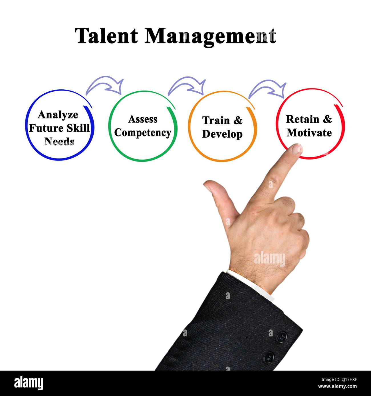 Four Components of Talent Management Stock Photo - Alamy