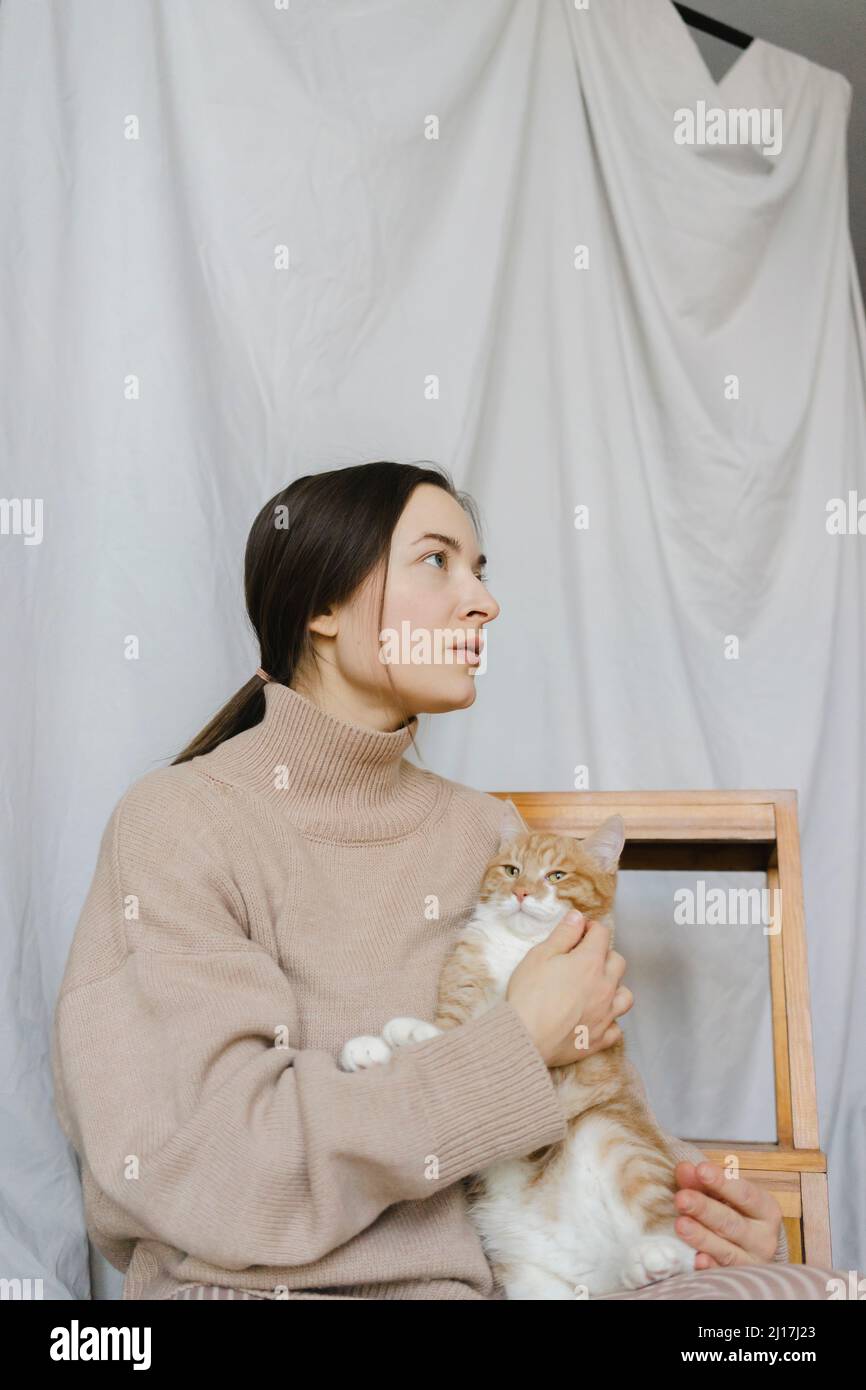 Beautiful home cat hi-res stock photography and images - Alamy