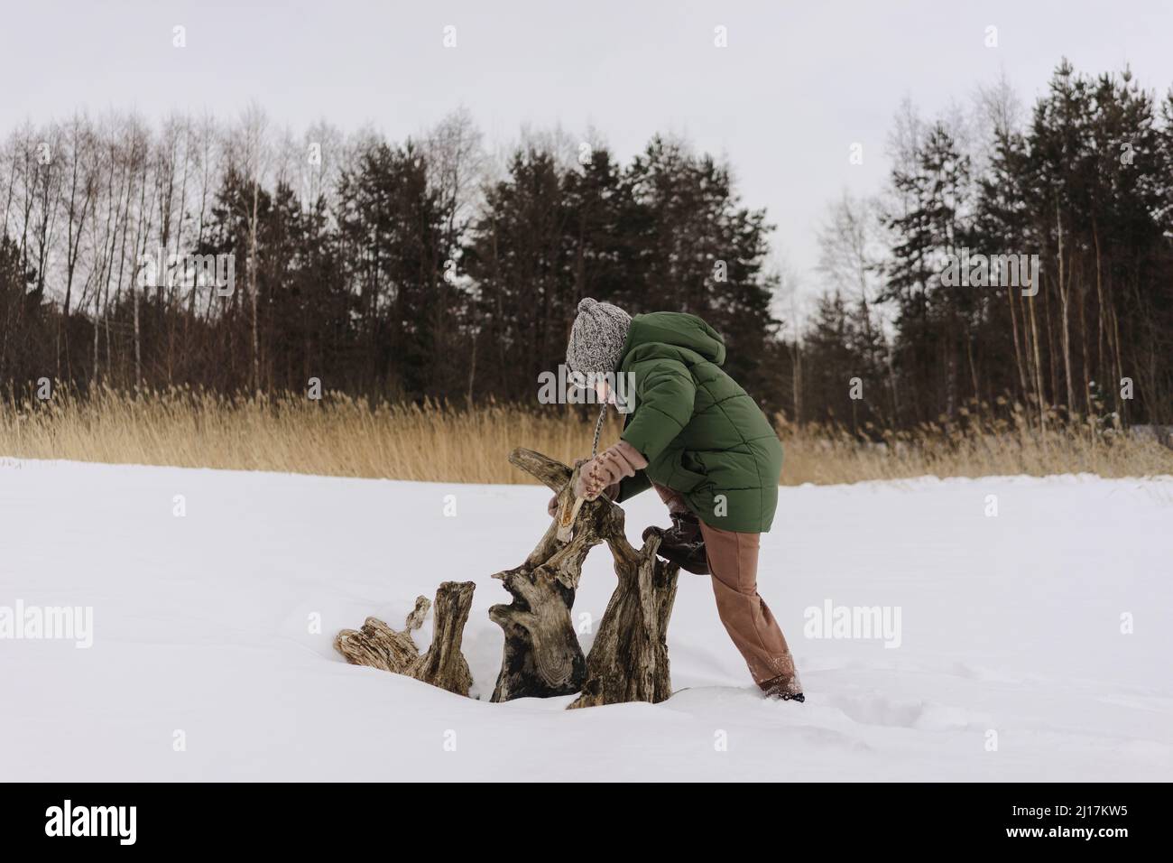 Two children playing tree hi-res stock photography and images - Alamy