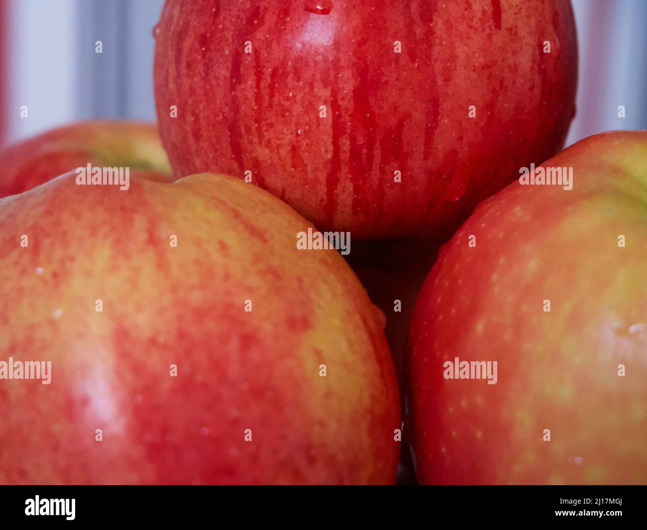Several apples of the gala and Ligol varieties, a close-up shot Stock ...