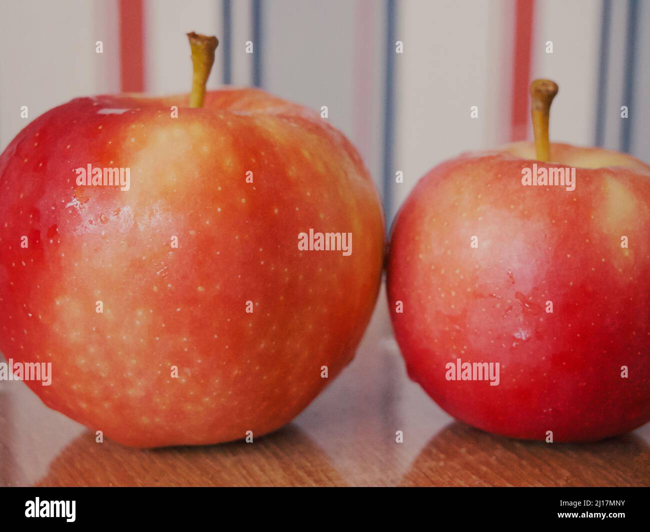 Two ripe apples of the Ligol variety, a close-up shot Stock Photo - Alamy