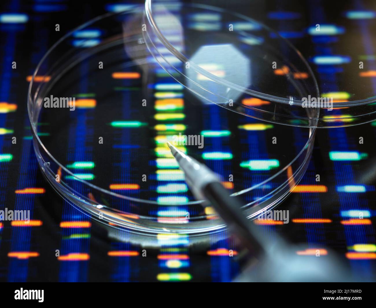 Pipetting sample into tray for DNA testing with profile in background ...