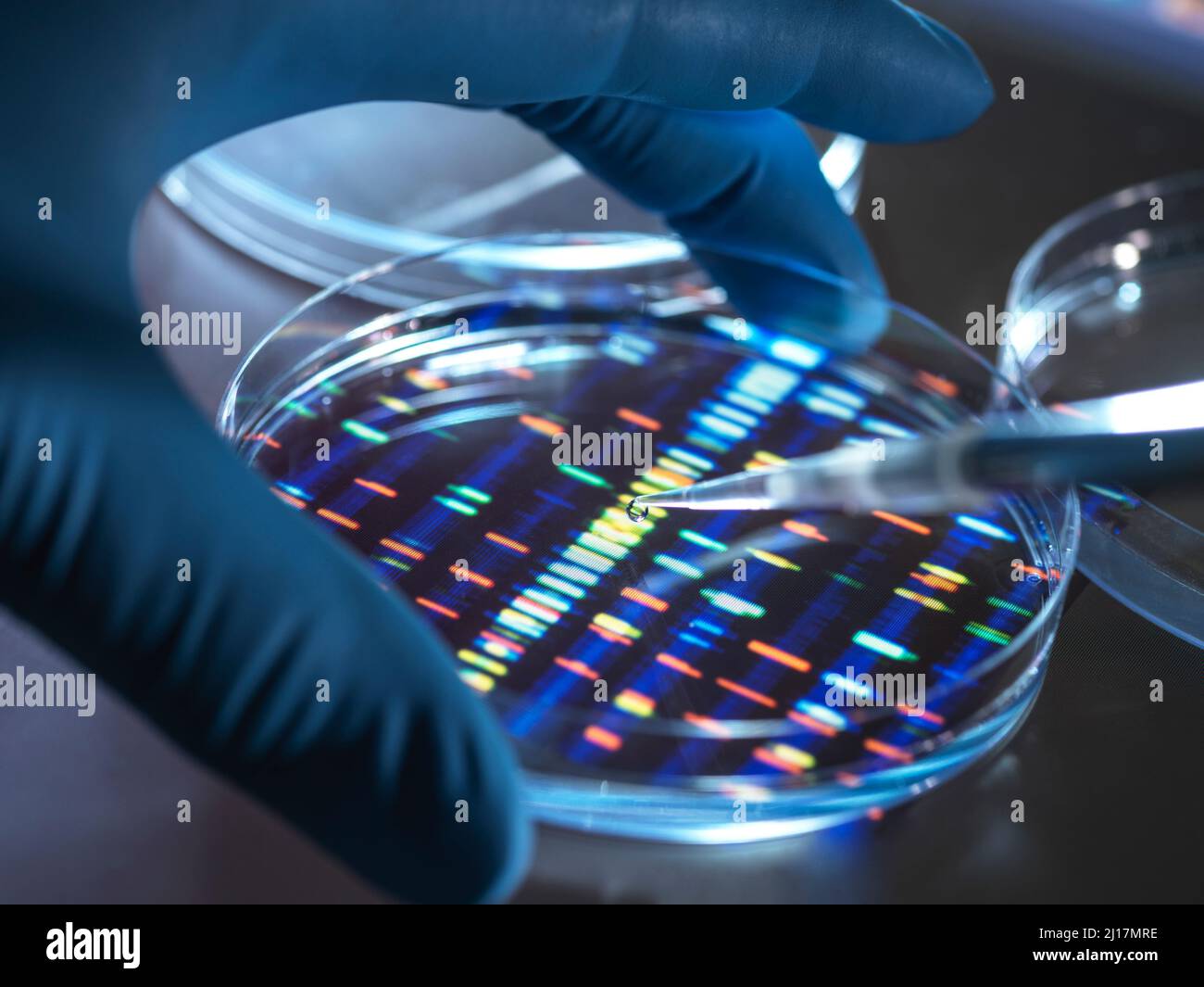 Genetics testing hi-res stock photography and images - Alamy