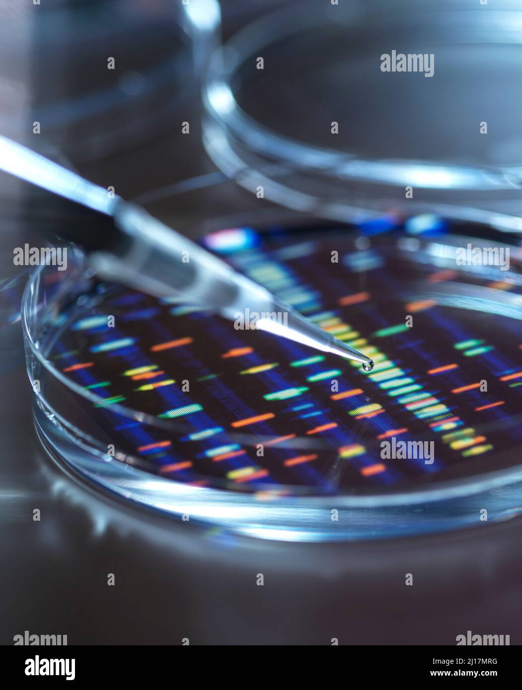 Pipetting sample into tray for DNA testing with result in background ...