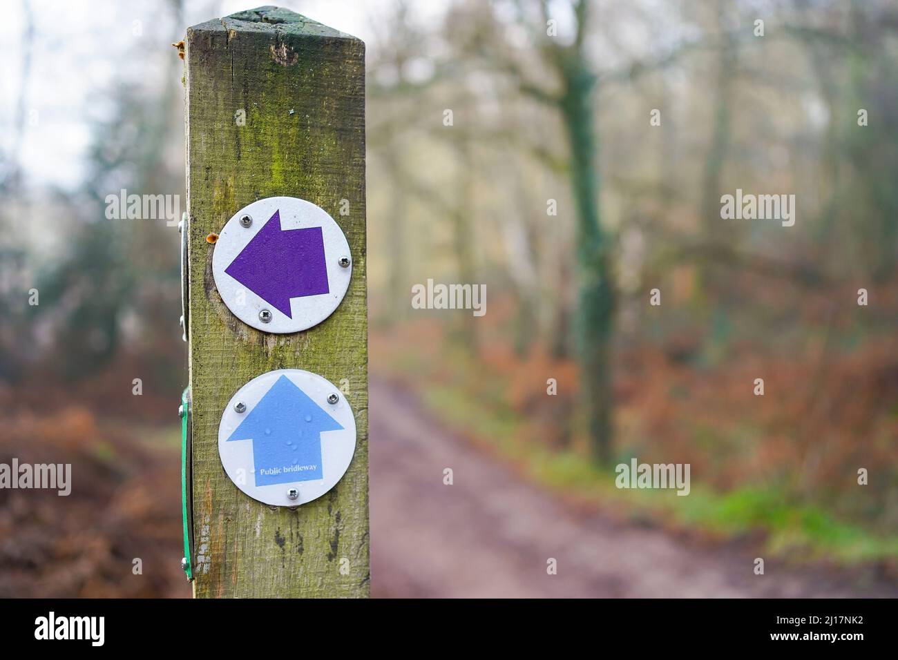 Pathway markers hi-res stock photography and images - Alamy