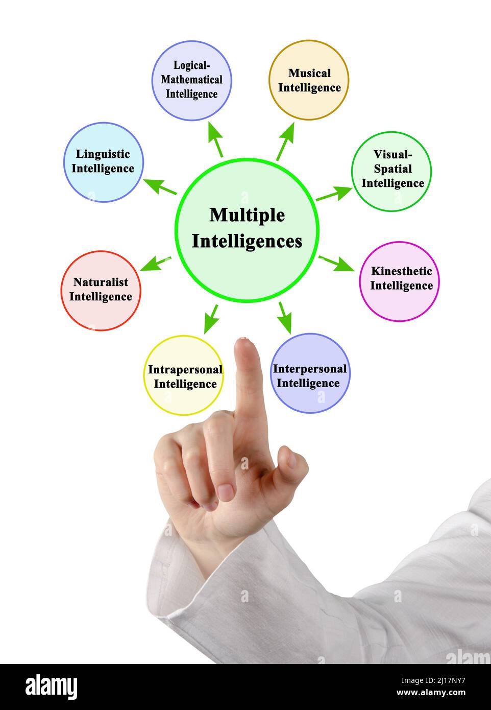 Multiple Intelligence Types